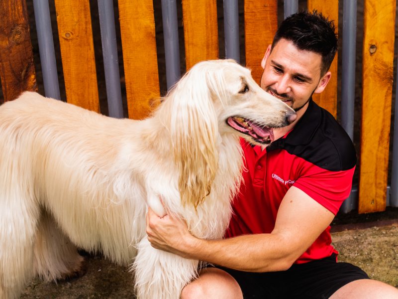 Ultimate Pet Care World – The ultimate Best for your Ultimate Pet!